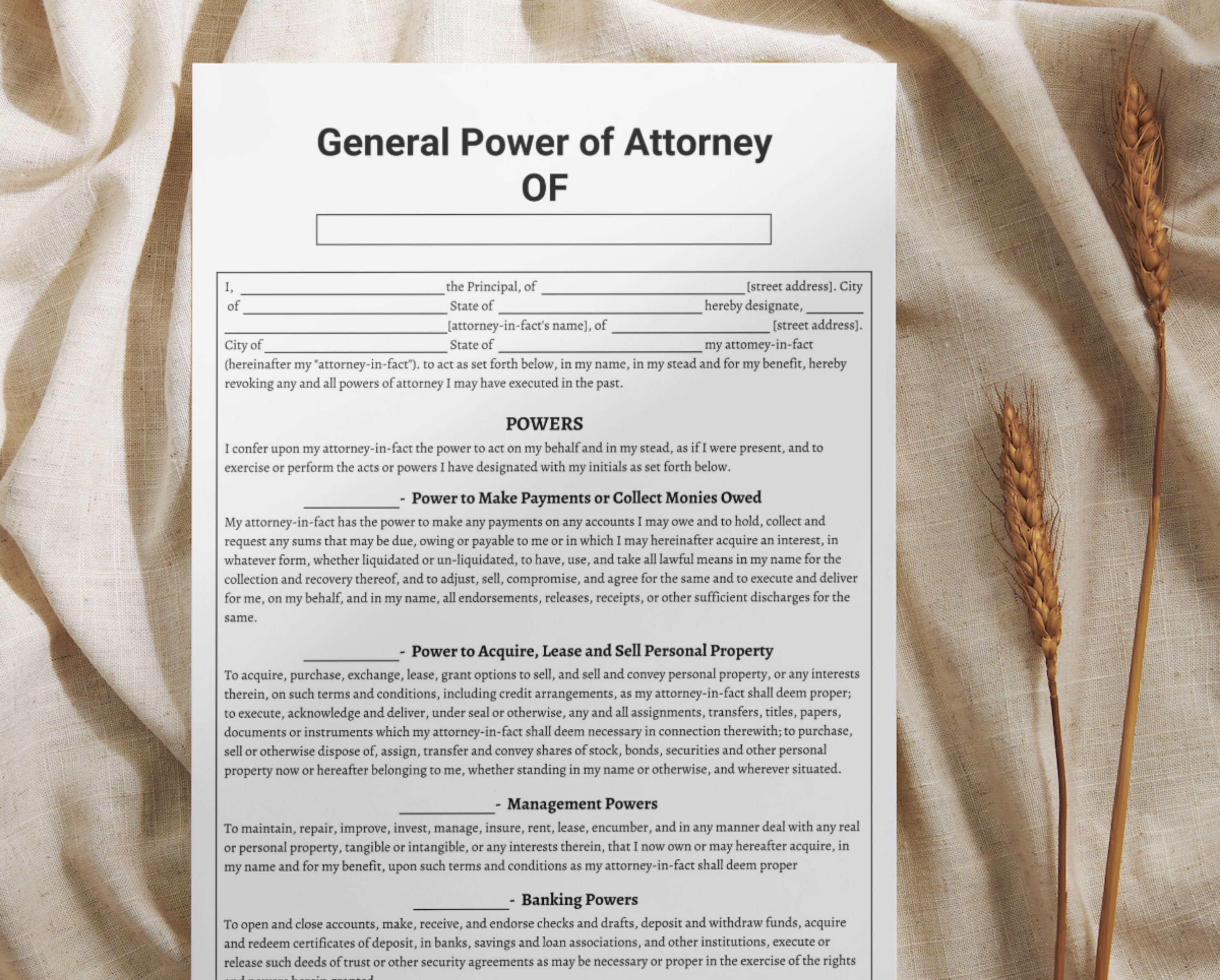 General Power of Attorney | General Power of Attorney Form | Editable ...