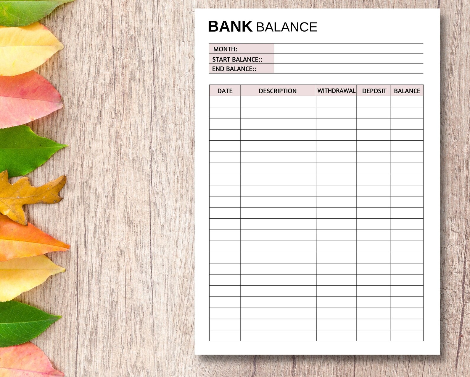 Bank Balance Printable Balance Sheet Bank Summary Finance - Etsy
