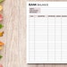 Bank Balance Printable Balance Sheet Bank Summary Finance Savings Log ...