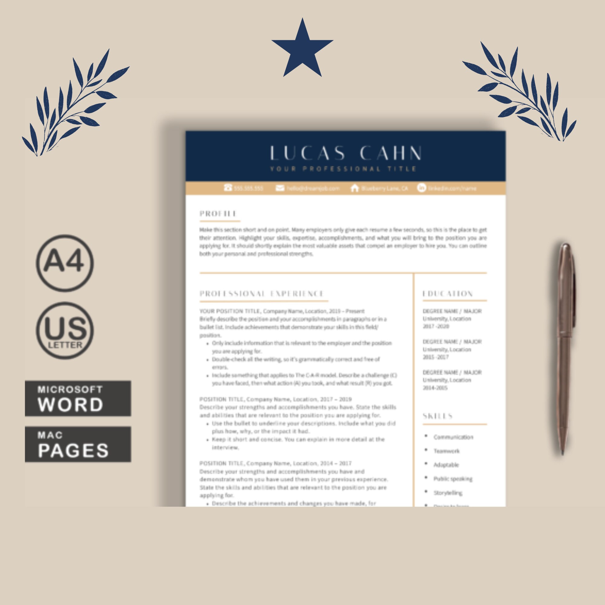 Clean Modern Executive Resume Template 2024, Professional Modern Resume ...