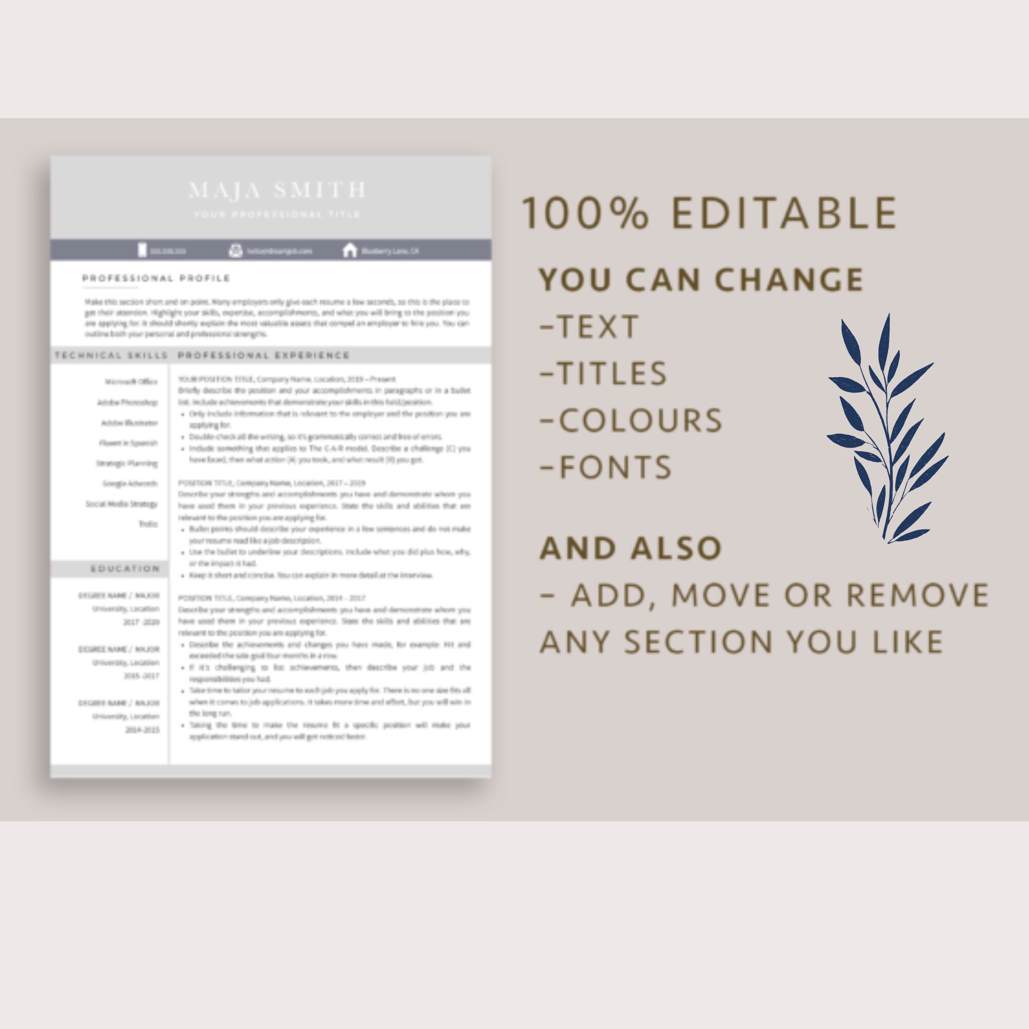 Clean Modern Executive Resume Template for Pages, Word & Mac Pages ...