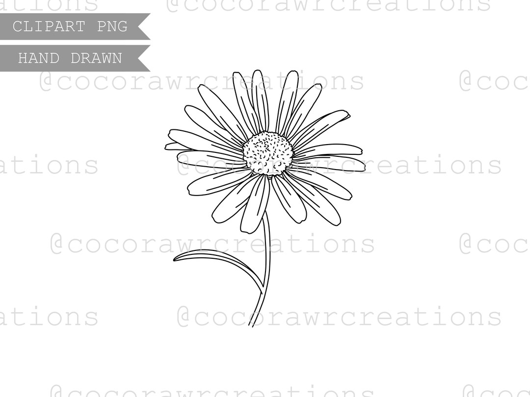 Daisy Hand Drawn Digital Clipart PNG File Digital Stickers Hand Drawn ...