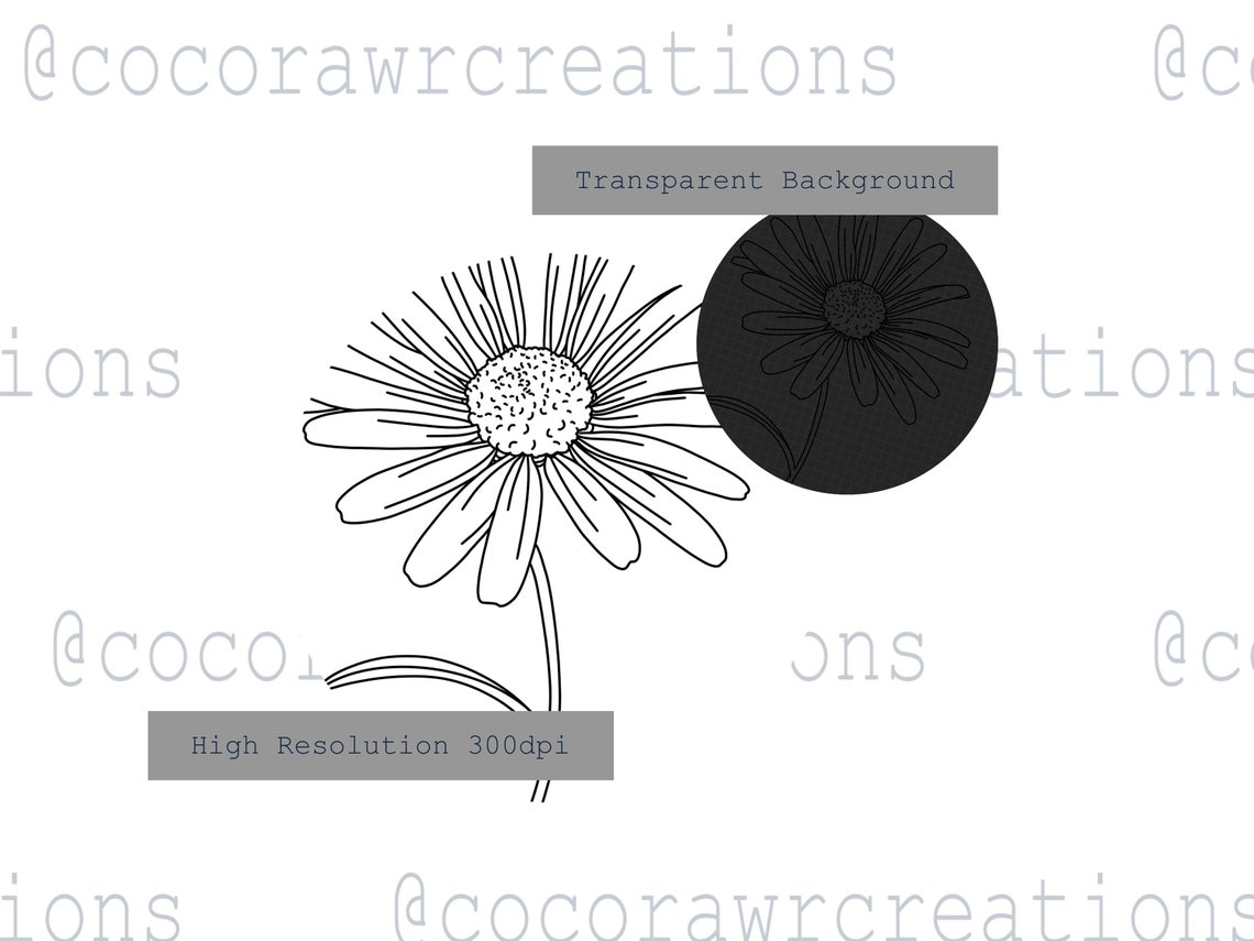 Daisy Hand Drawn Digital Clipart PNG File Digital Stickers Hand Drawn ...