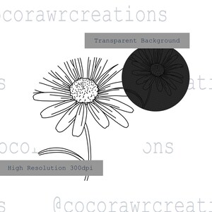Daisy Hand Drawn Digital Clipart PNG File Digital Stickers Hand Drawn ...