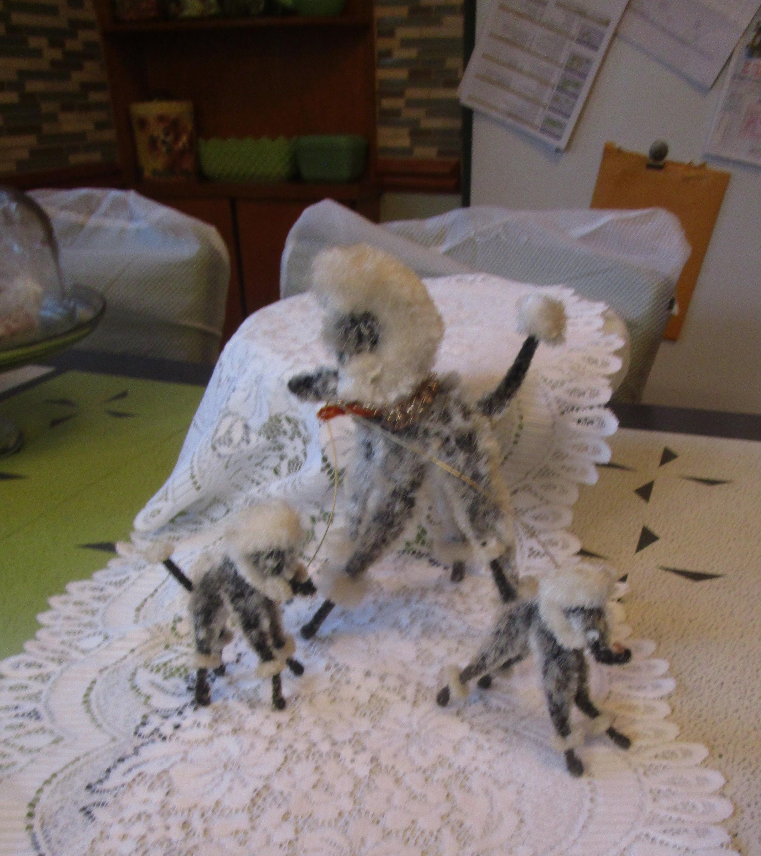 Poodle Family, Chenille Poodles, Vintage Poodles, Poodle Dolls, Poodle ...