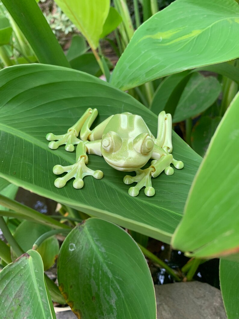 Articulating Flexi Frog-designed by Flexi Factoryauthorized - Etsy