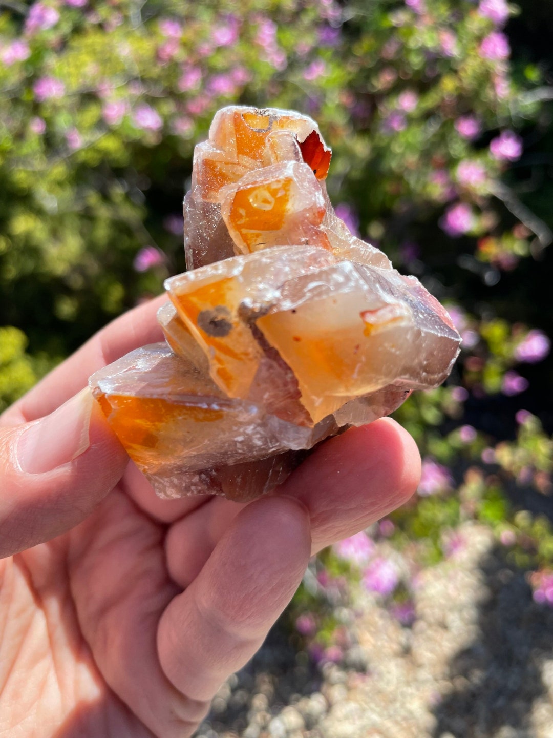 Joyful Dog Tooth Calcite Cluster Crystal - Etsy