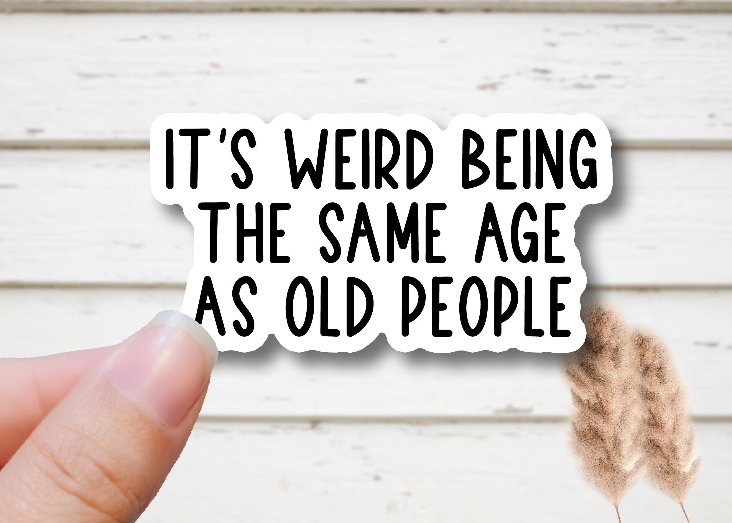 Old Funny Stickers - Etsy