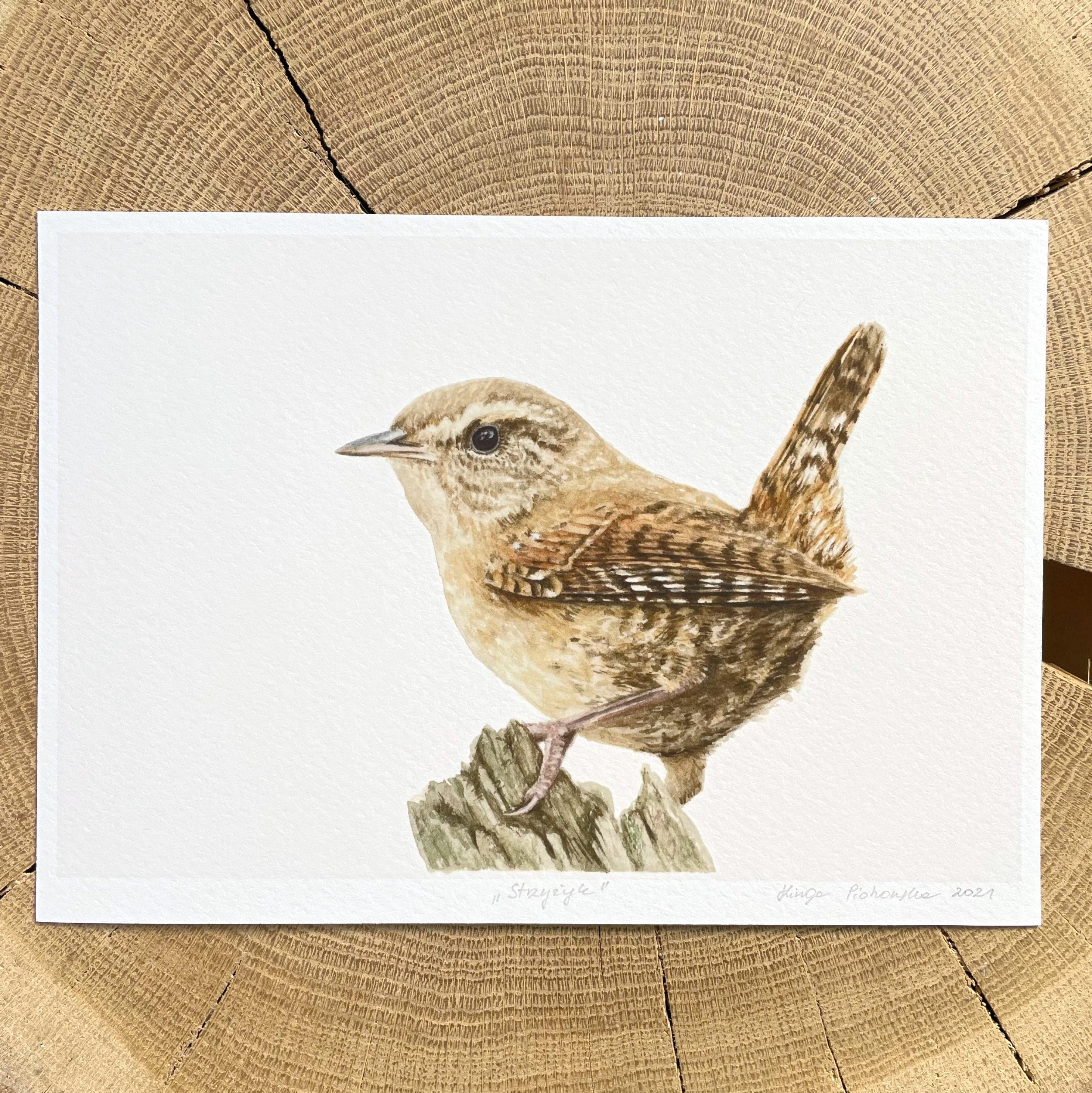 Art Print of Wren, Watercolor Bird Art, Realistic Watercolor, British ...