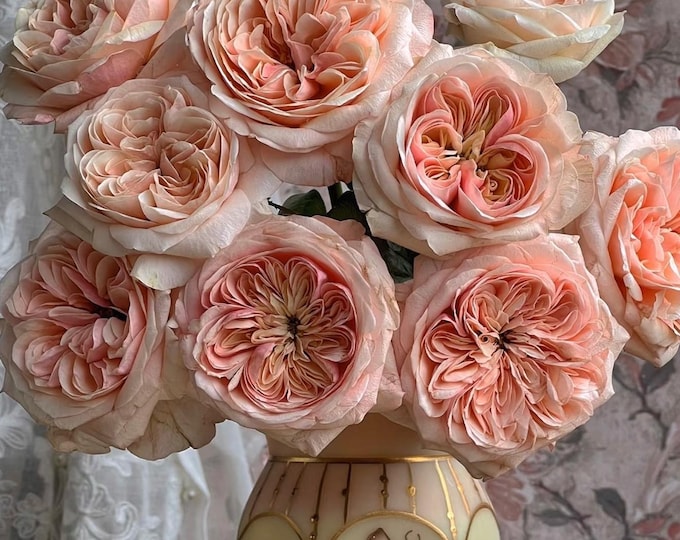 Spring Confession. Cut Rose. 春野心事 - Etsy