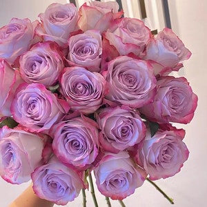 Ergongziroses - Etsy