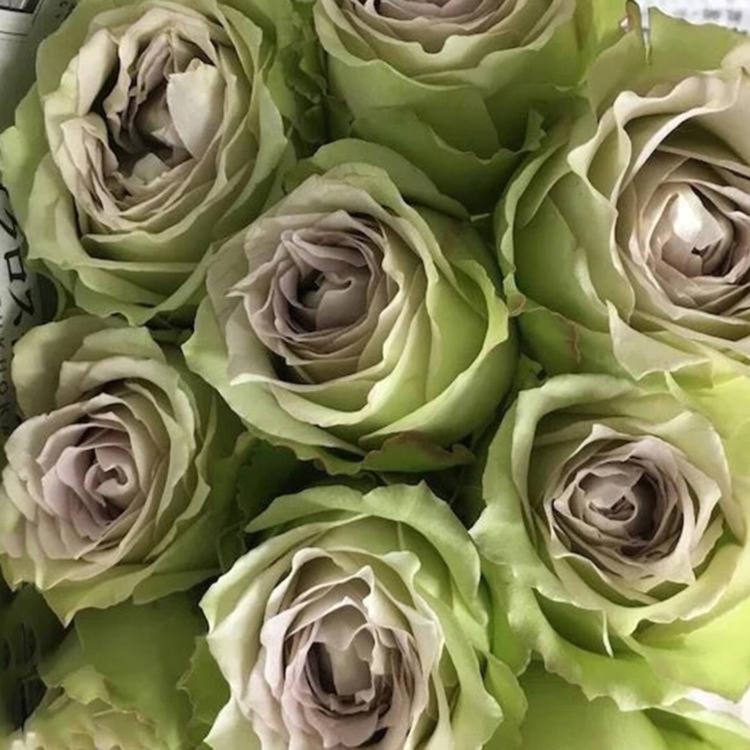 Lapis Veil Rose. 青金石面纱 - Etsy