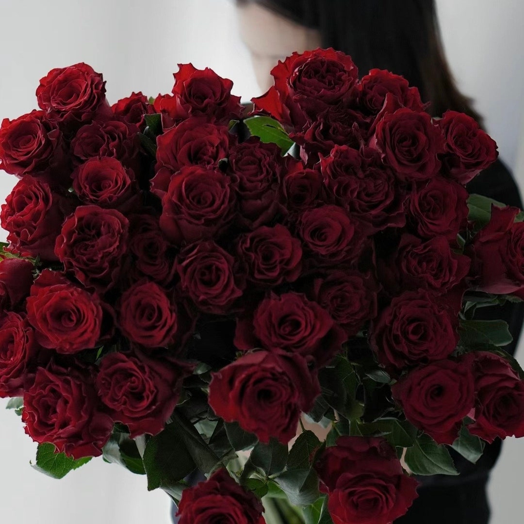 Rose Rohdos 罗德斯 Cut Rose - Etsy