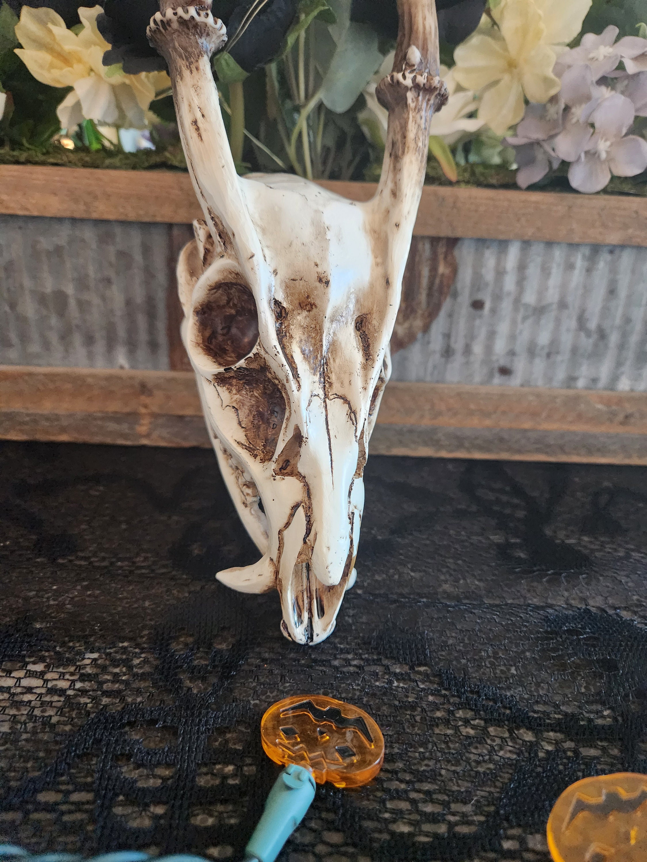 3D Resin Printed Vampire Goat Skull Head Handcrafted Collectible Unique ...