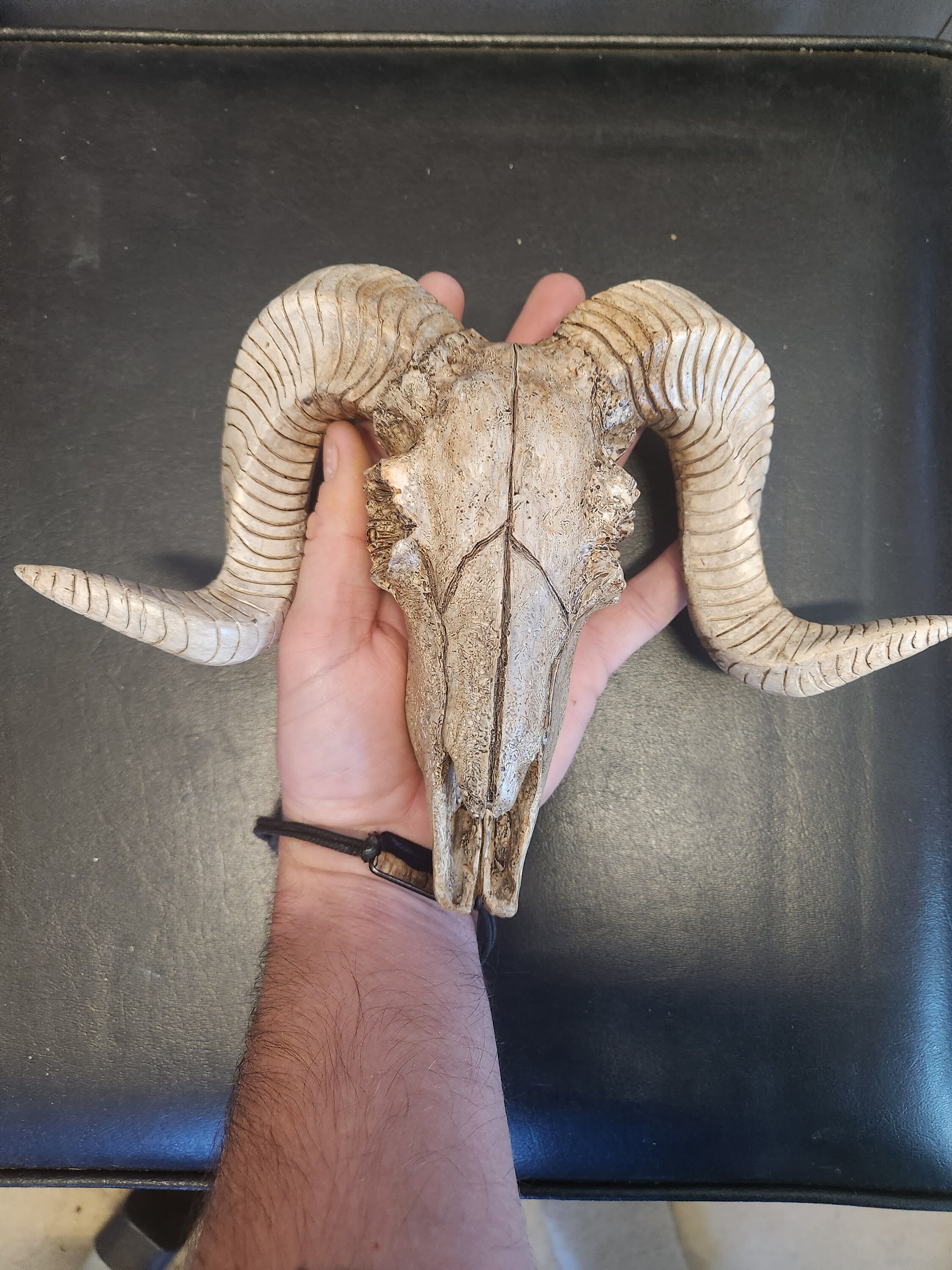 3D Resin Printed Vampire Goat Ram Skull Head Handcrafted Collectible ...