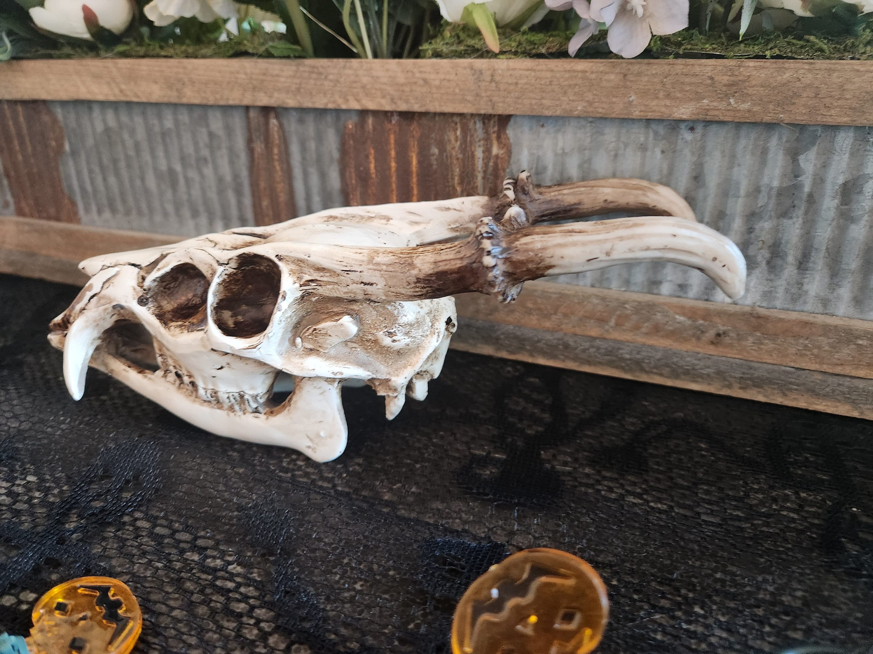 3D Resin Printed Vampire Goat Skull Head Handcrafted Collectible Unique ...