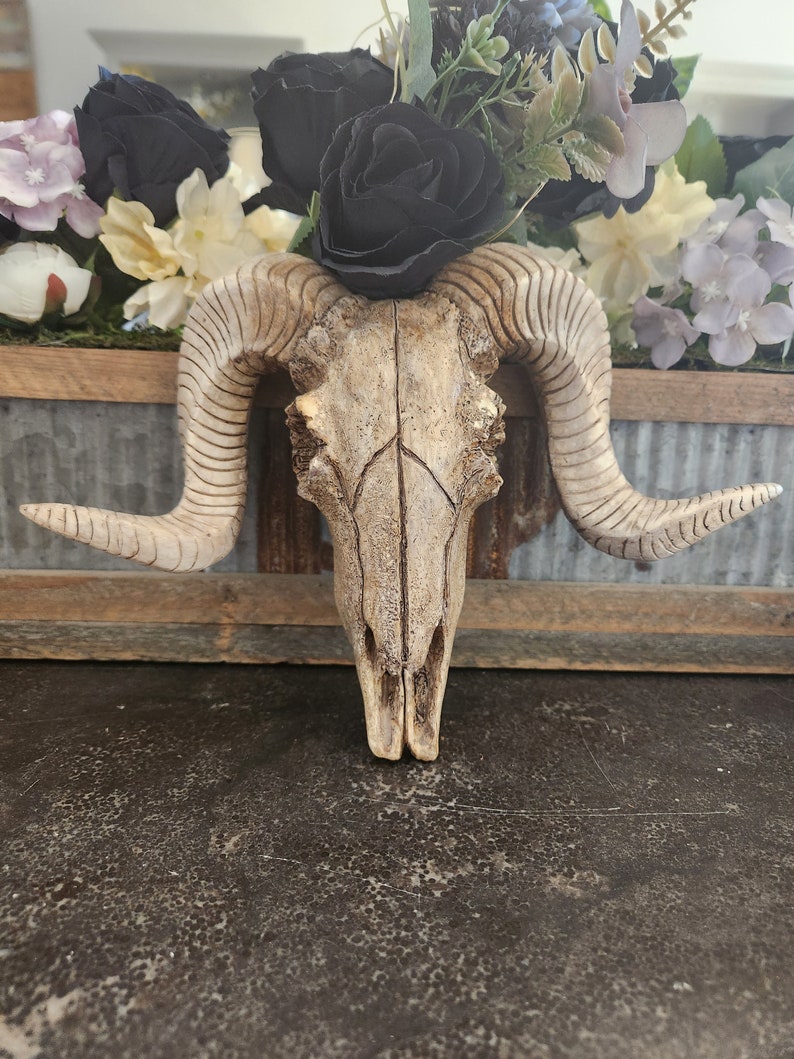 3D Resin Printed Vampire Goat Ram Skull Head Handcrafted Collectible ...