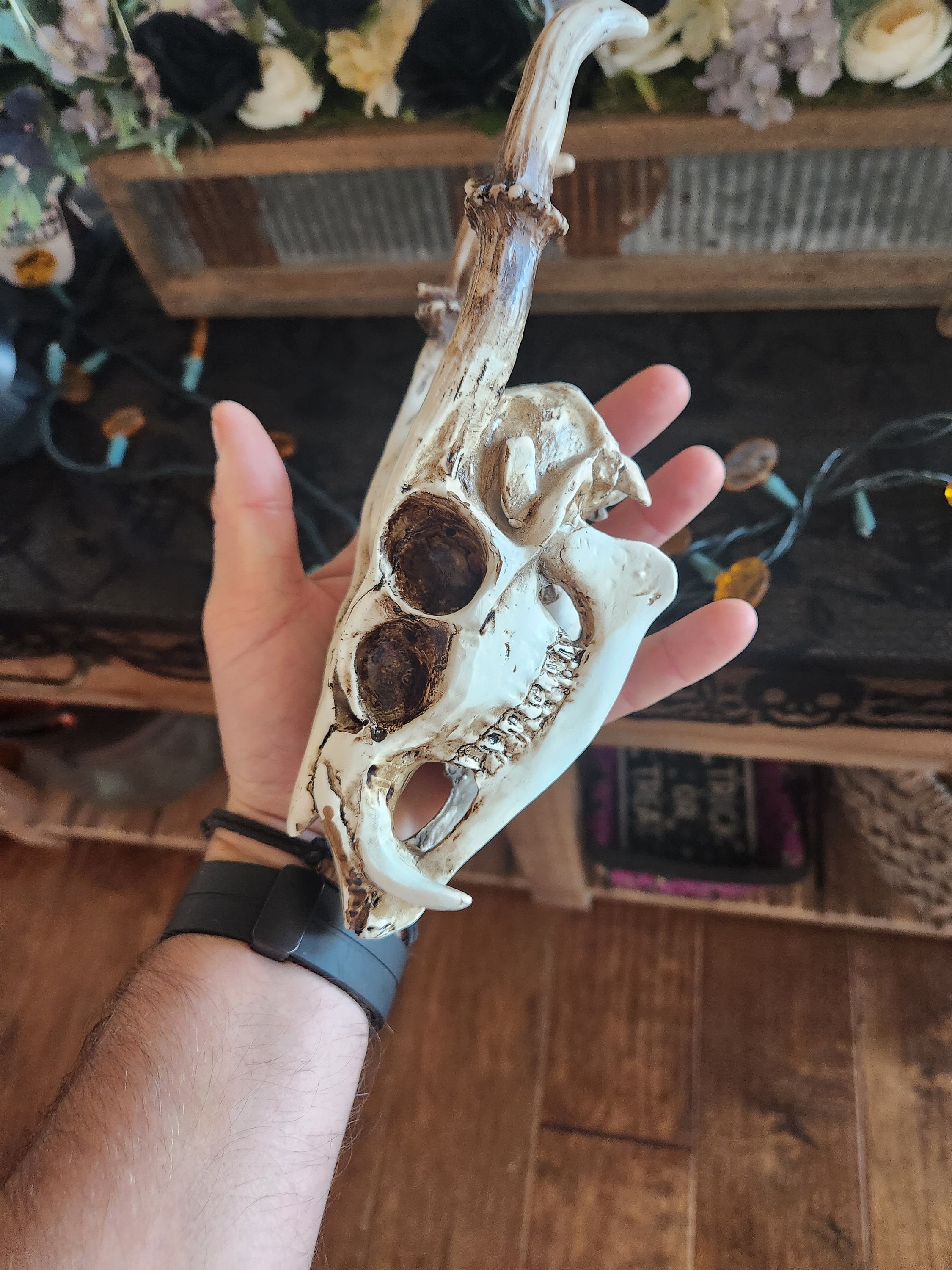 3D Resin Printed Vampire Goat Skull Head Handcrafted Collectible Unique ...