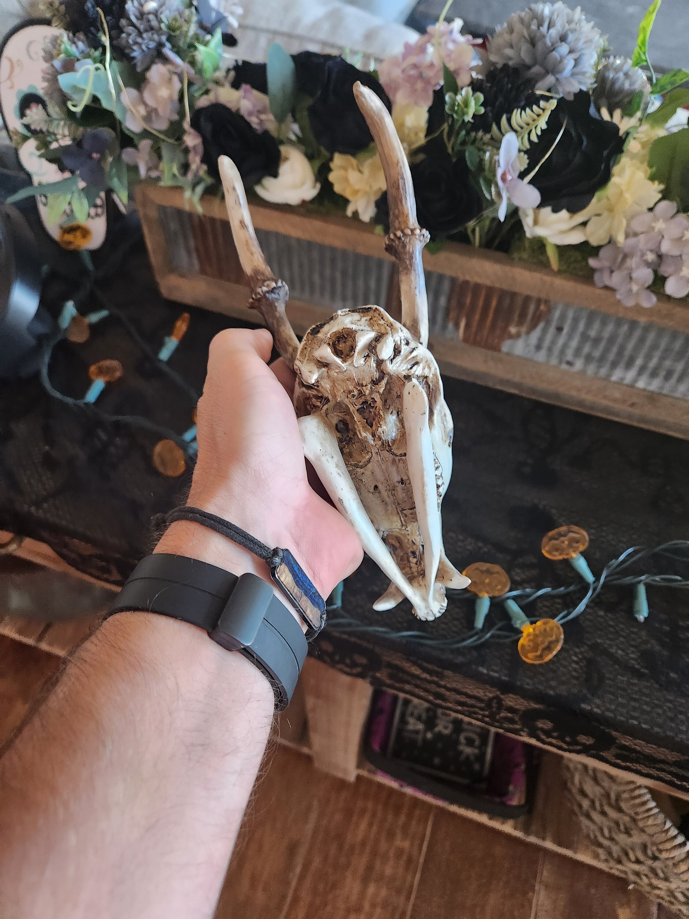 3D Resin Printed Vampire Goat Skull Head - Handcrafted Collectible ...