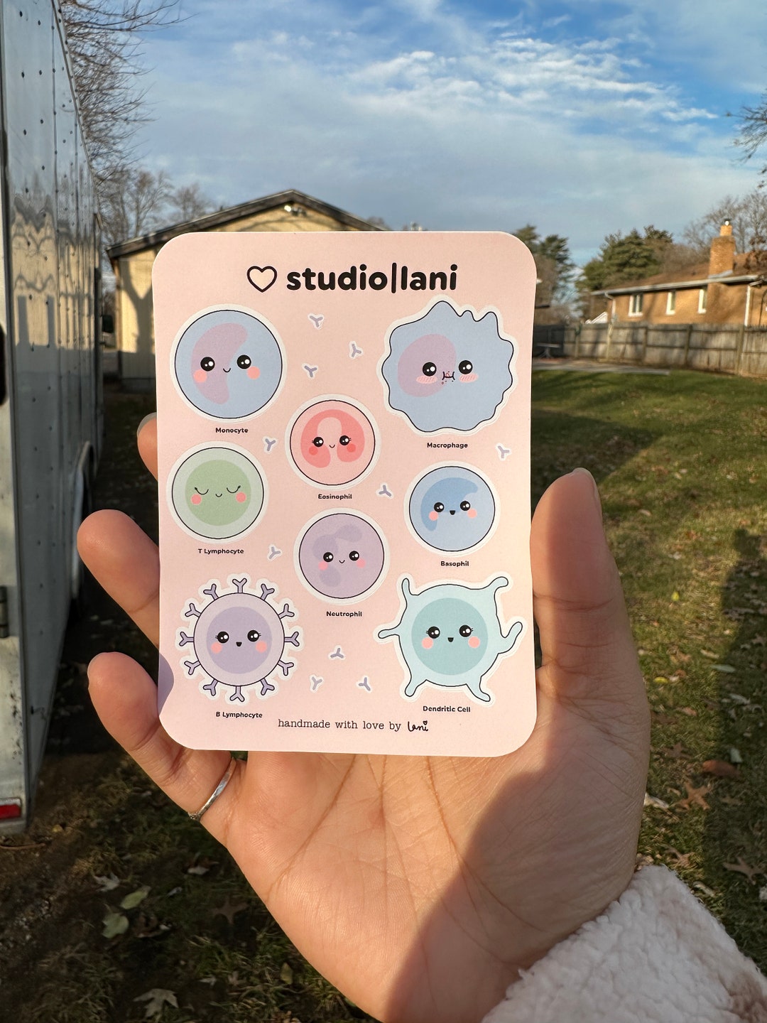 Immunology Mini Sticker Sheet | Science, Life Science, Biology ...