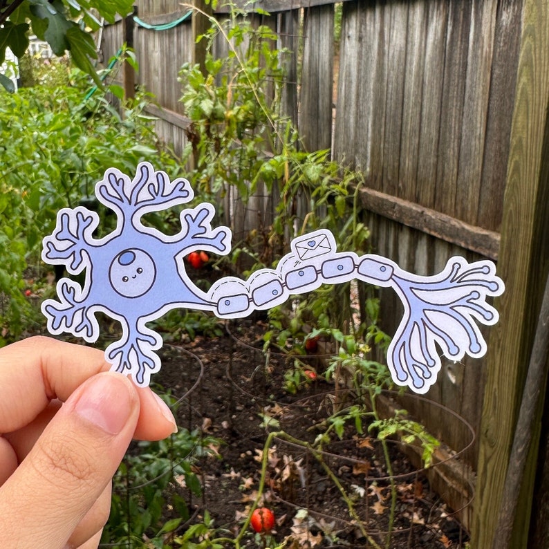 Neuron Sticker| Neurology, Neuroscience | Laptop, Notebook, Phone Case ...