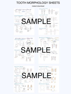 Dental Radiology Study Notes 14 Pages - Etsy Canada