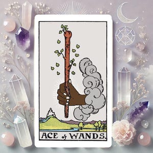Mahogany Tarot | Black Tarot Deck | Tarot Cards for Beginners | Black ...