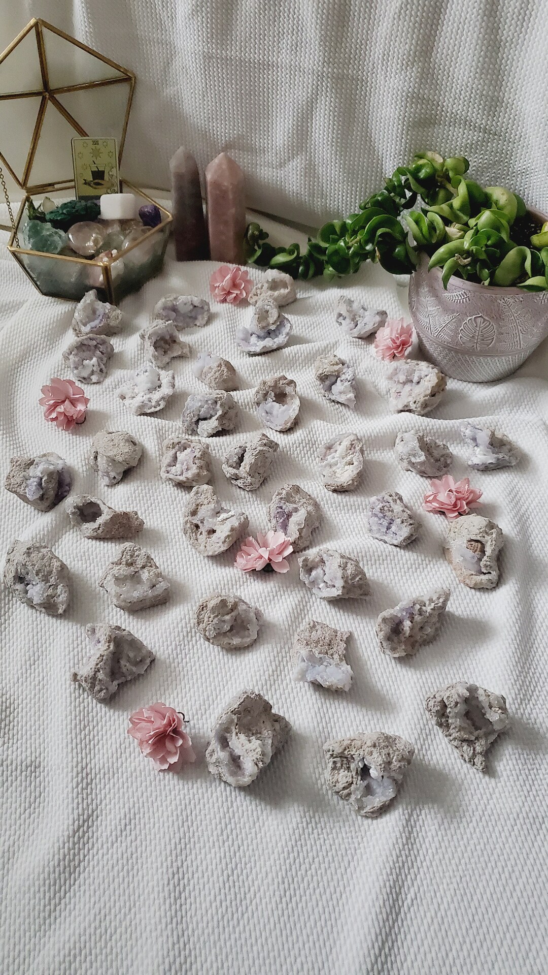 Spirit Flower Geodes - Etsy
