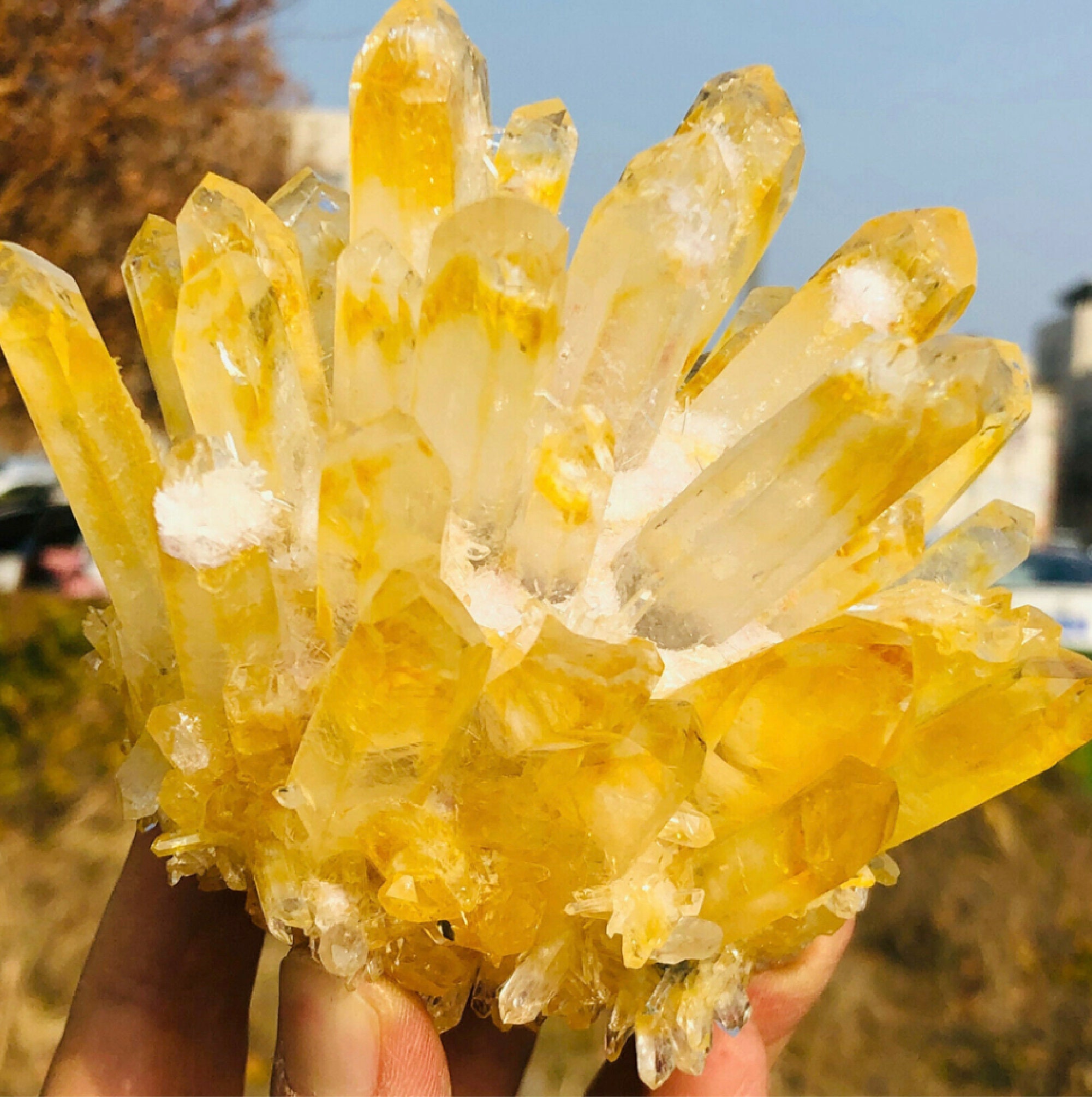 Extremely Rare Yellow Phantom Quartz Crystal Cluster, Yellow Quartz ...