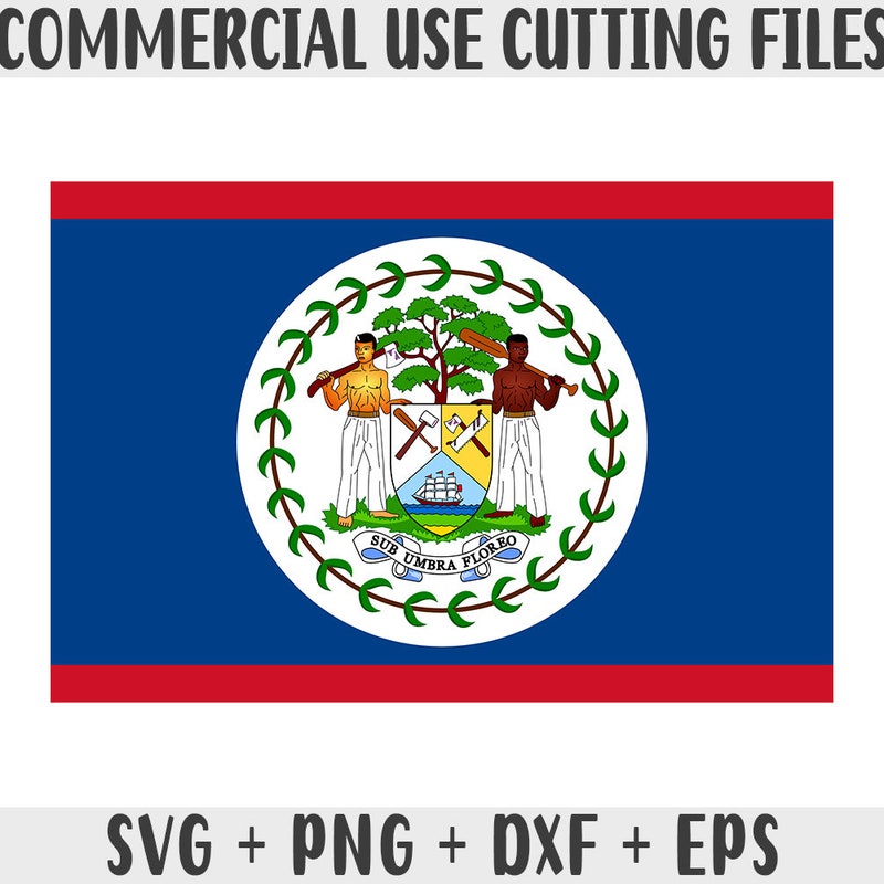 Belize Flag Canvas - Etsy