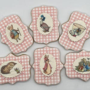 Peter Rabbit Cookies - Etsy