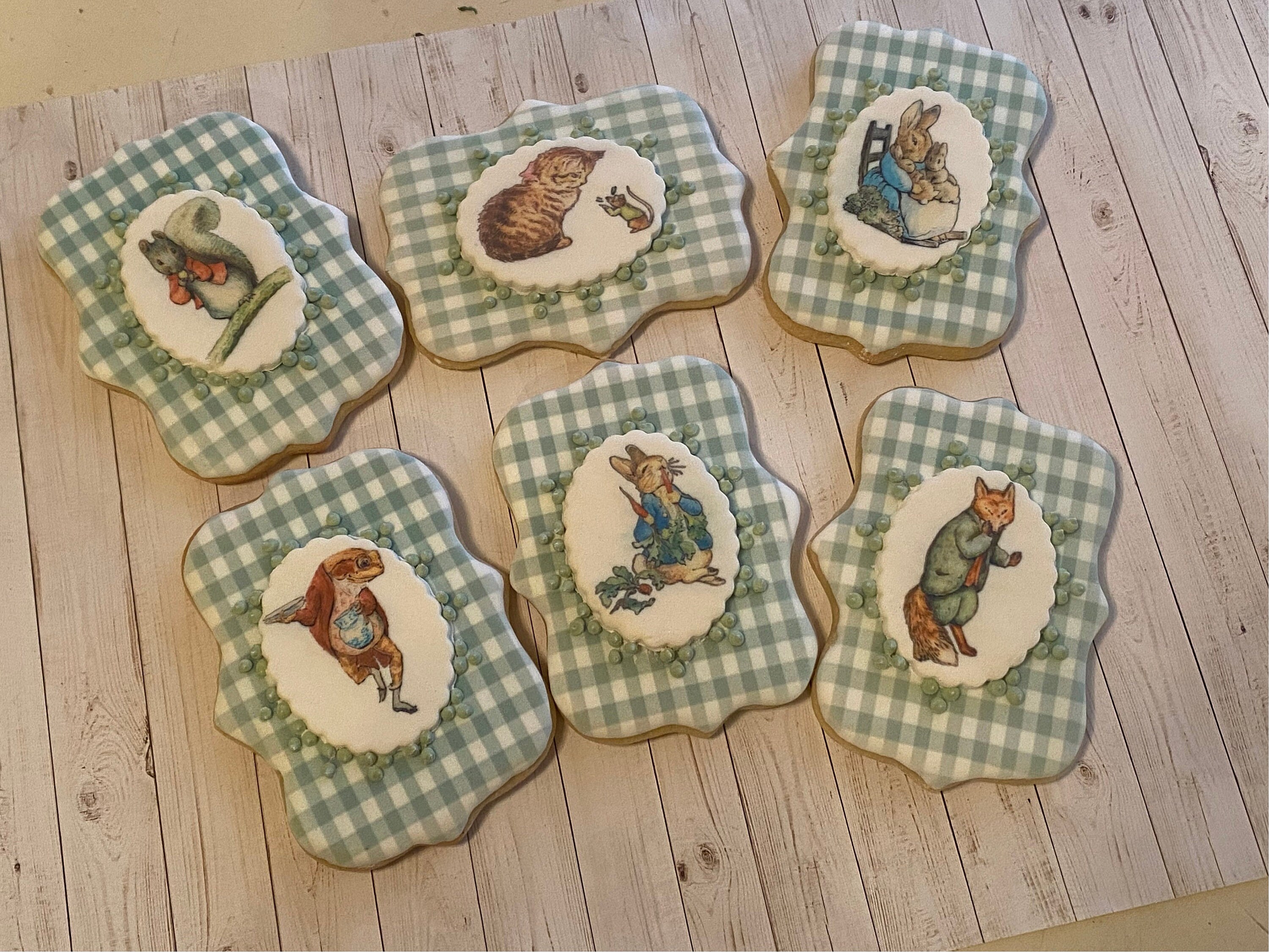 Peter Rabbit Cookies - Etsy