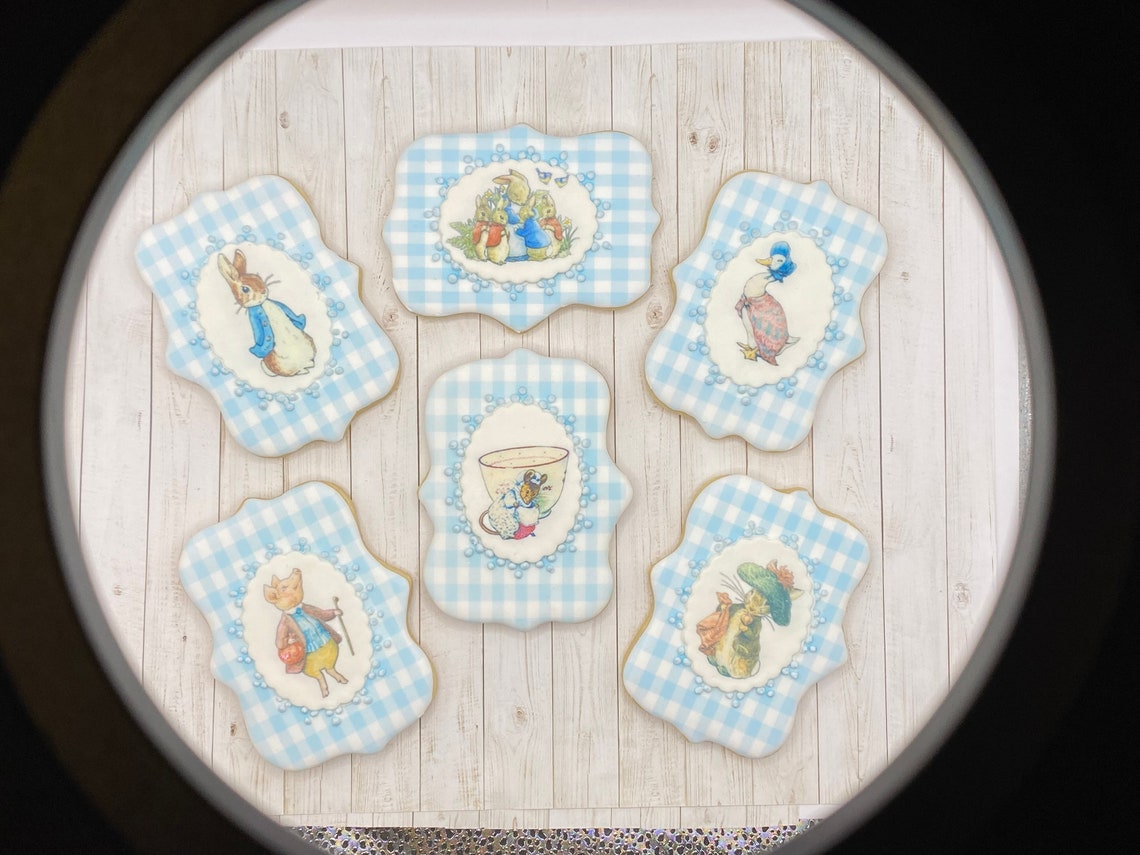 Peter Rabbit Cookies - Etsy