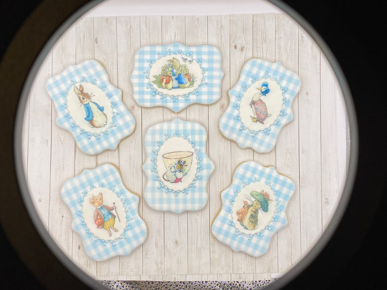 Peter Rabbit Cookies - Etsy