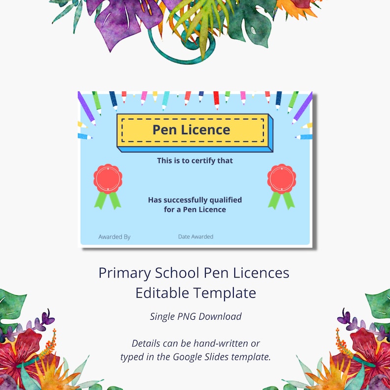 Primary School Pen Licence Template - Etsy