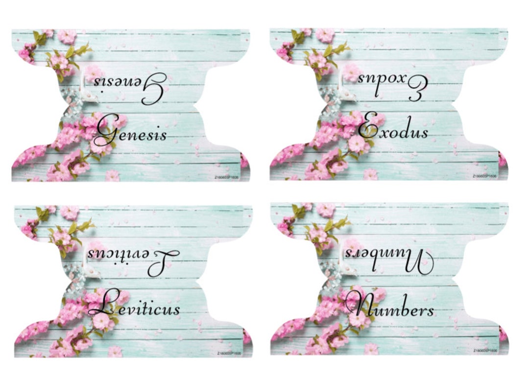 Books of the Bible Tabs - Etsy