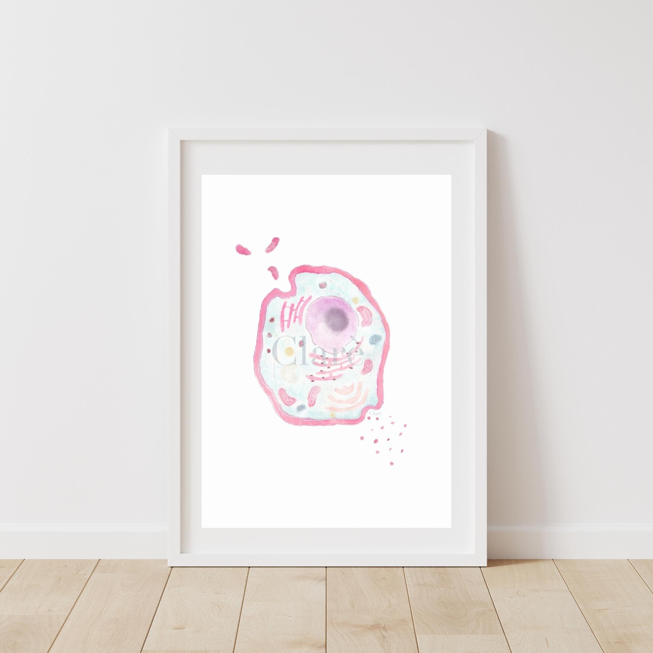 Eukaryotic Cell Watercolour Art Print Science Medical Art - Etsy