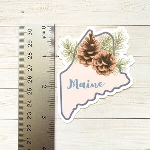 Maine State Flower Vinyl Sticker | White Pine Cone | Glossy or Matte ...