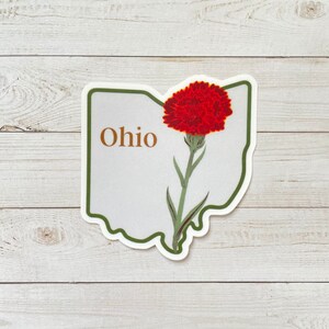 Ohio State Flower Vinyl Sticker | Carnation | Glossy or Matte Finish ...