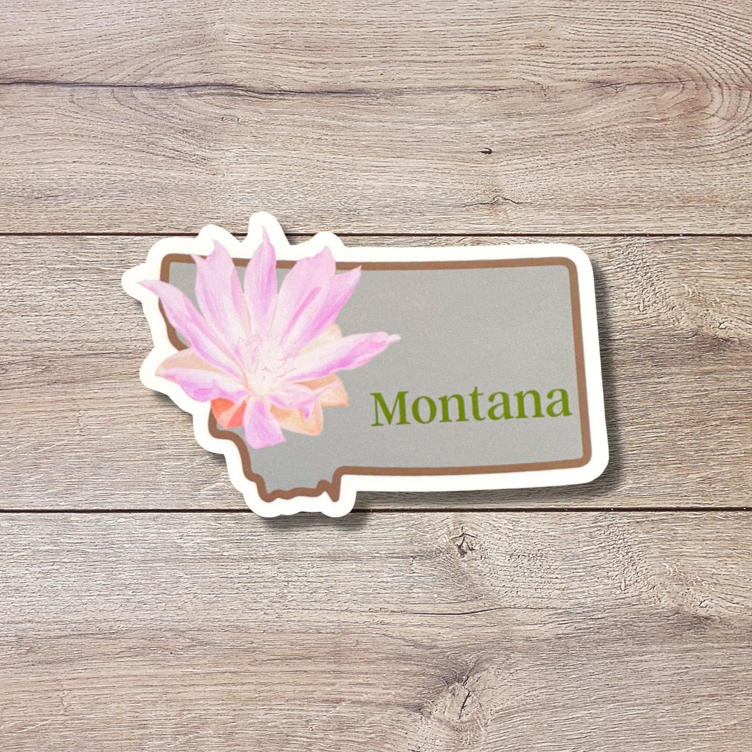 Montana State Flower Vinyl Sticker | Bitterroot Flower | Glossy or ...