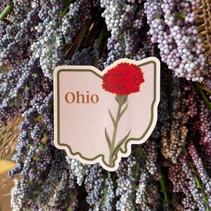 Ohio State Flower Vinyl Sticker | Carnation | Glossy or Matte Finish ...
