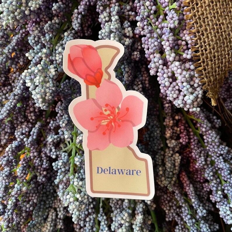 Delaware State Flower Vinyl Sticker | Peach Blossom | Glossy or Matte ...