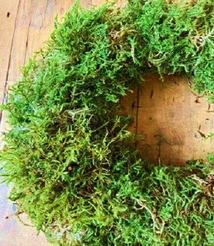 All-natural Mossed Wreath Ring 14inch Made From Welsh - Etsy UK