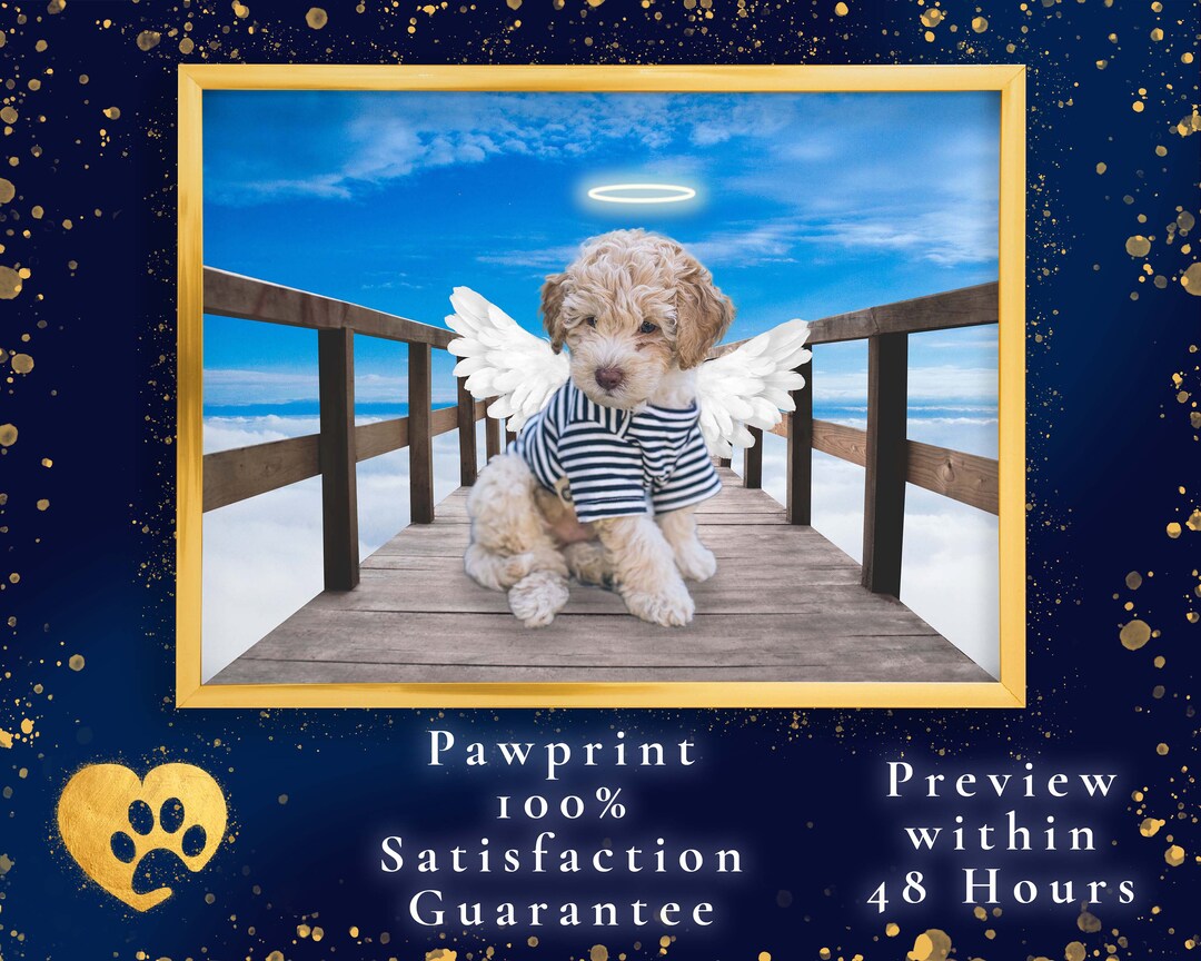 Dog Passing Gift Deceased Pet Pet Portrait Canvas Angel - Etsy