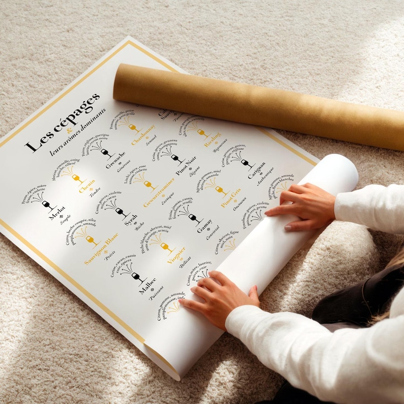 Grape Varieties and Their Main Aromas / 50x70cm/ Poster for Wine Lovers ...