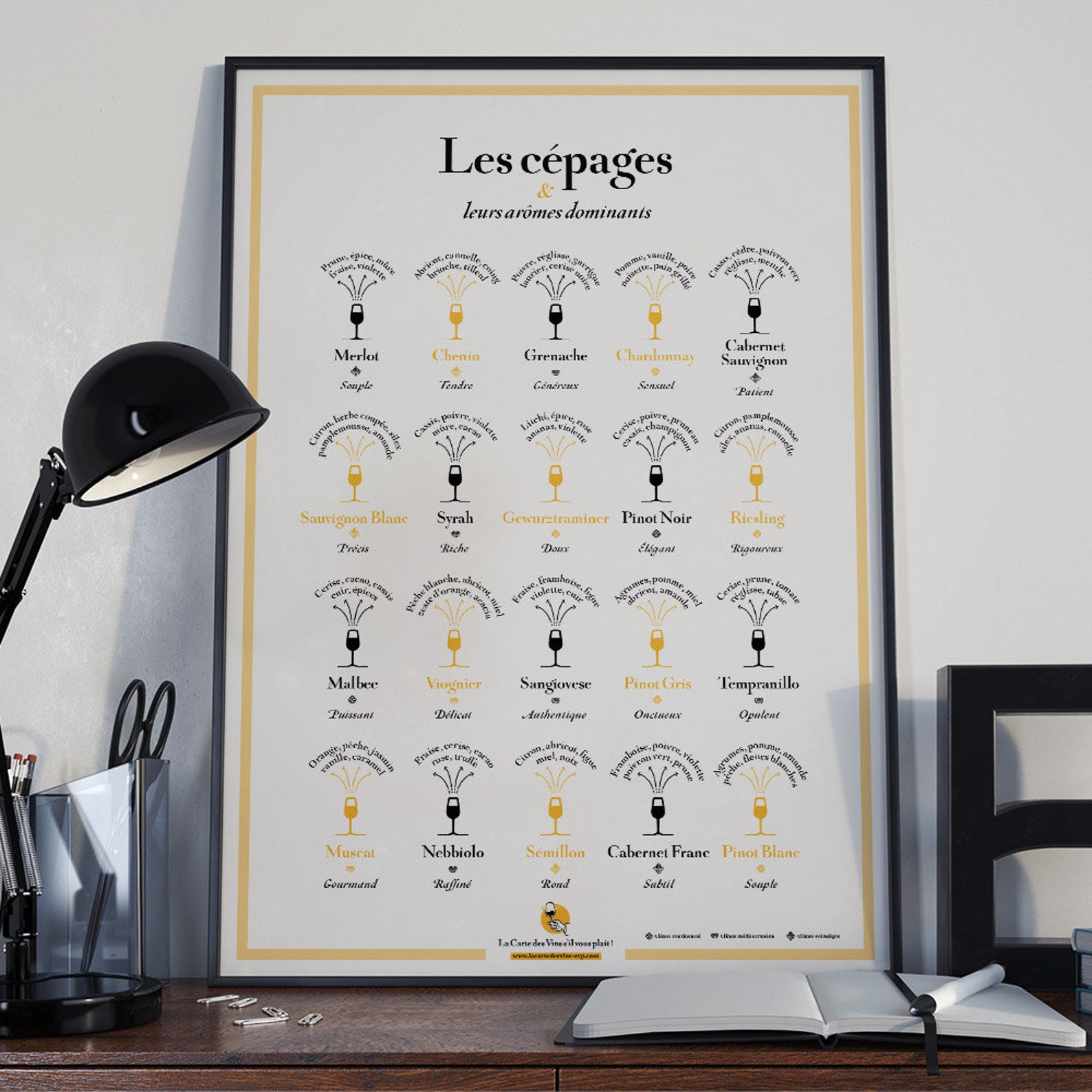 Grape Varieties and Their Main Aromas / 50x70cm/ Poster for Wine Lovers ...
