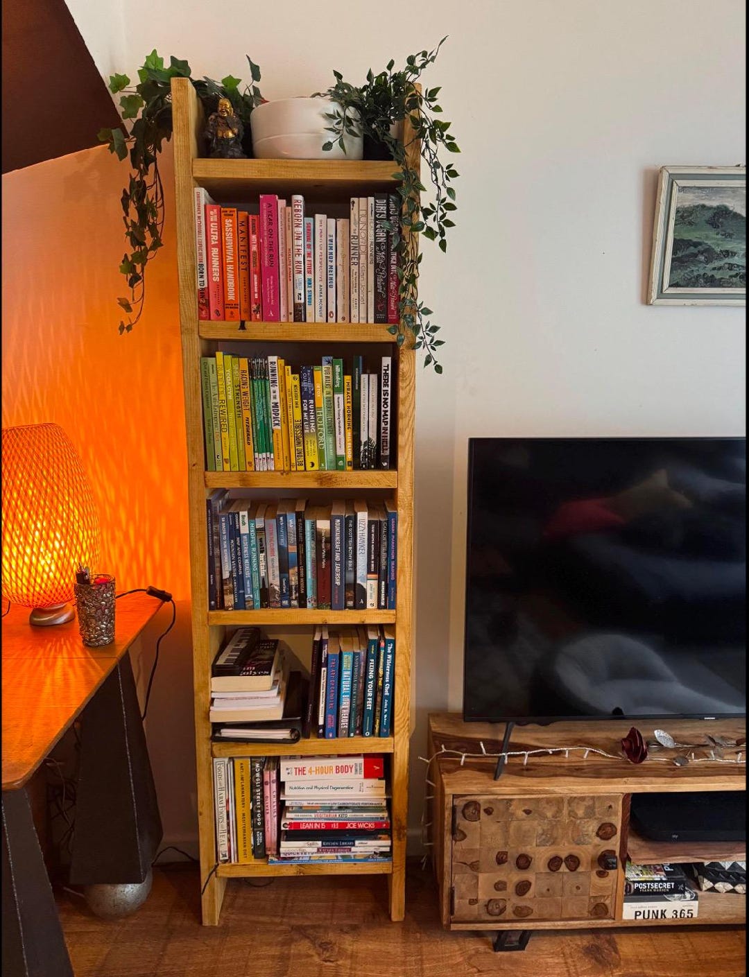 Rustic Narrow Wooden Bookcase: Solid Scaffold Timber Industrial Shelf ...