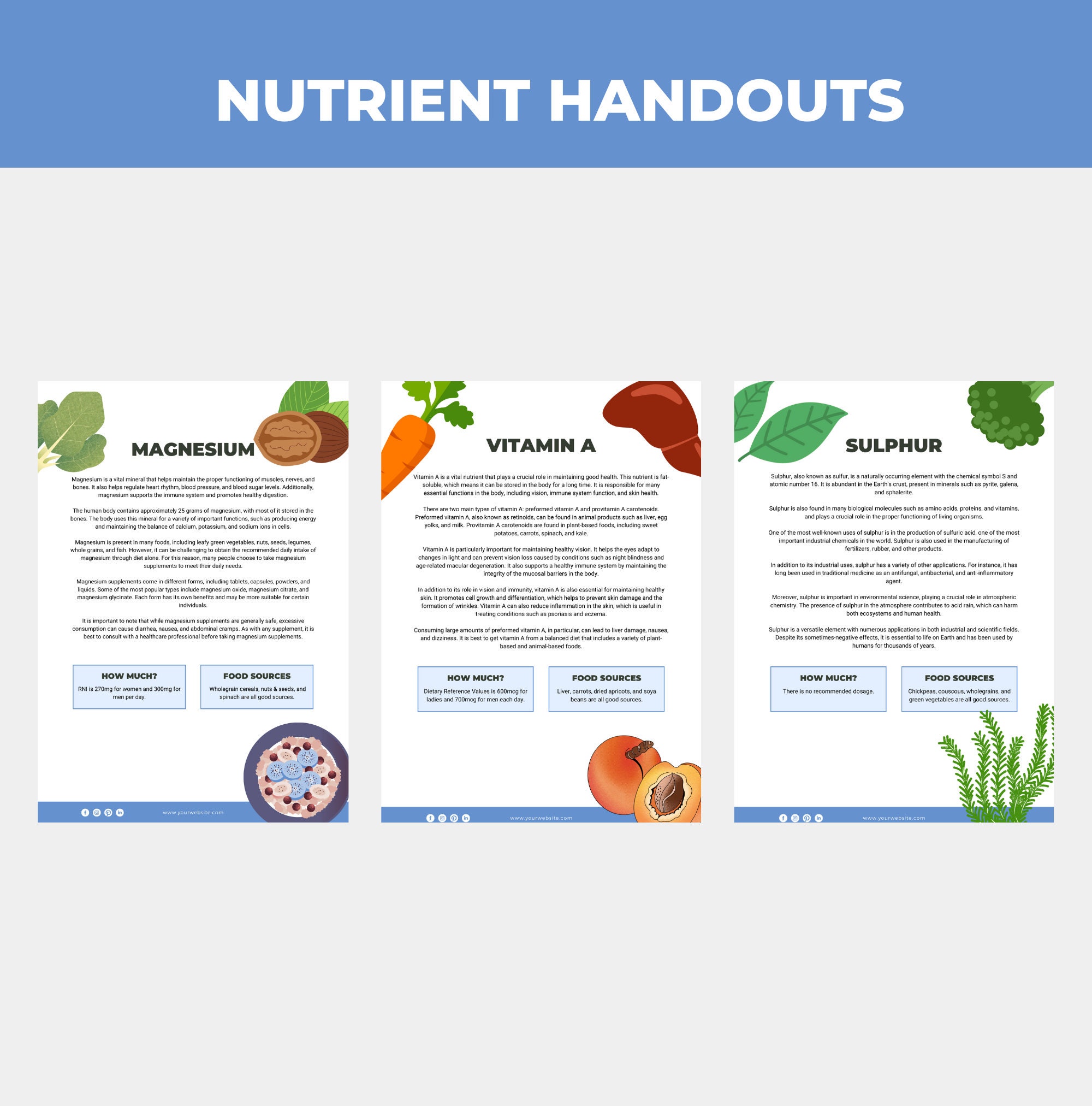 100+ Nutrition Handouts: Canva Ebook Template for Coaches (PLR Digital ...