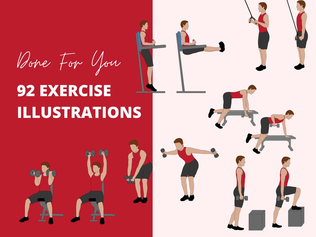 92 Exercise Illustrations in PNG Format for Health and Fitness Coaches ...