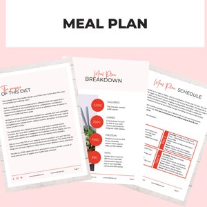14-day Meal Plan Template With Healthy and Delicious Recipes, 2,000 ...
